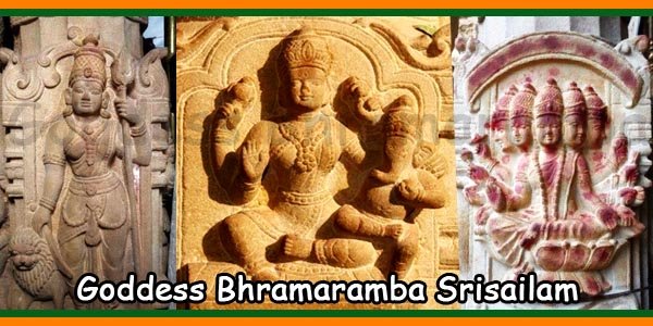 About Srisailam Bhramarambha Mallikharjuna Swamy Temple Main Temple